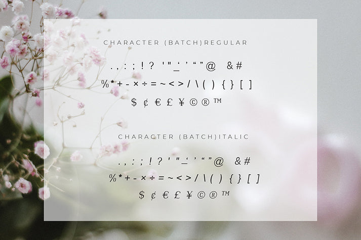 Derious - A Delicate New Serif Font – Craft Lab SVG